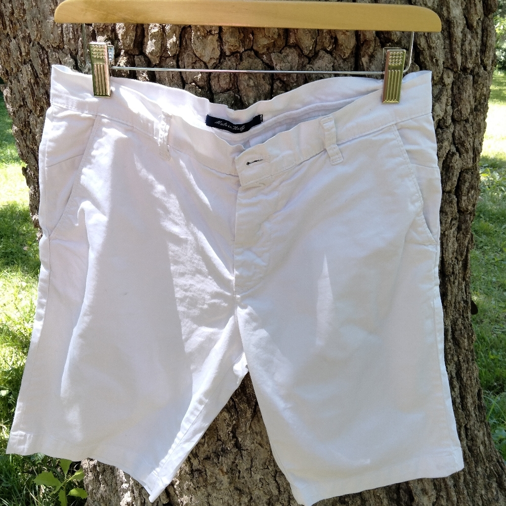 Finery Amalfi Coast Made In Italy Shorts In Size 46 - Gem